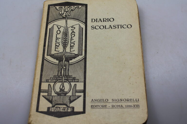 Exemplo de Diário Escolar Preenchido: Dicas e Ideias para se Inspirar ...